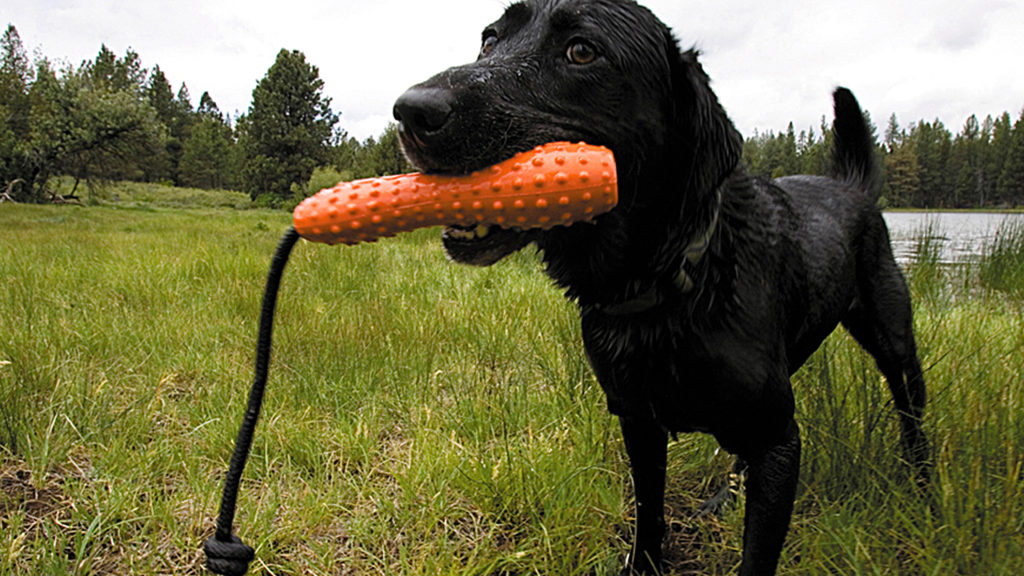 RUFFWEAR GOURDO – B R I T T A S H C R A F T